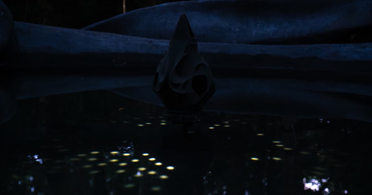 THE BAT CLOUD